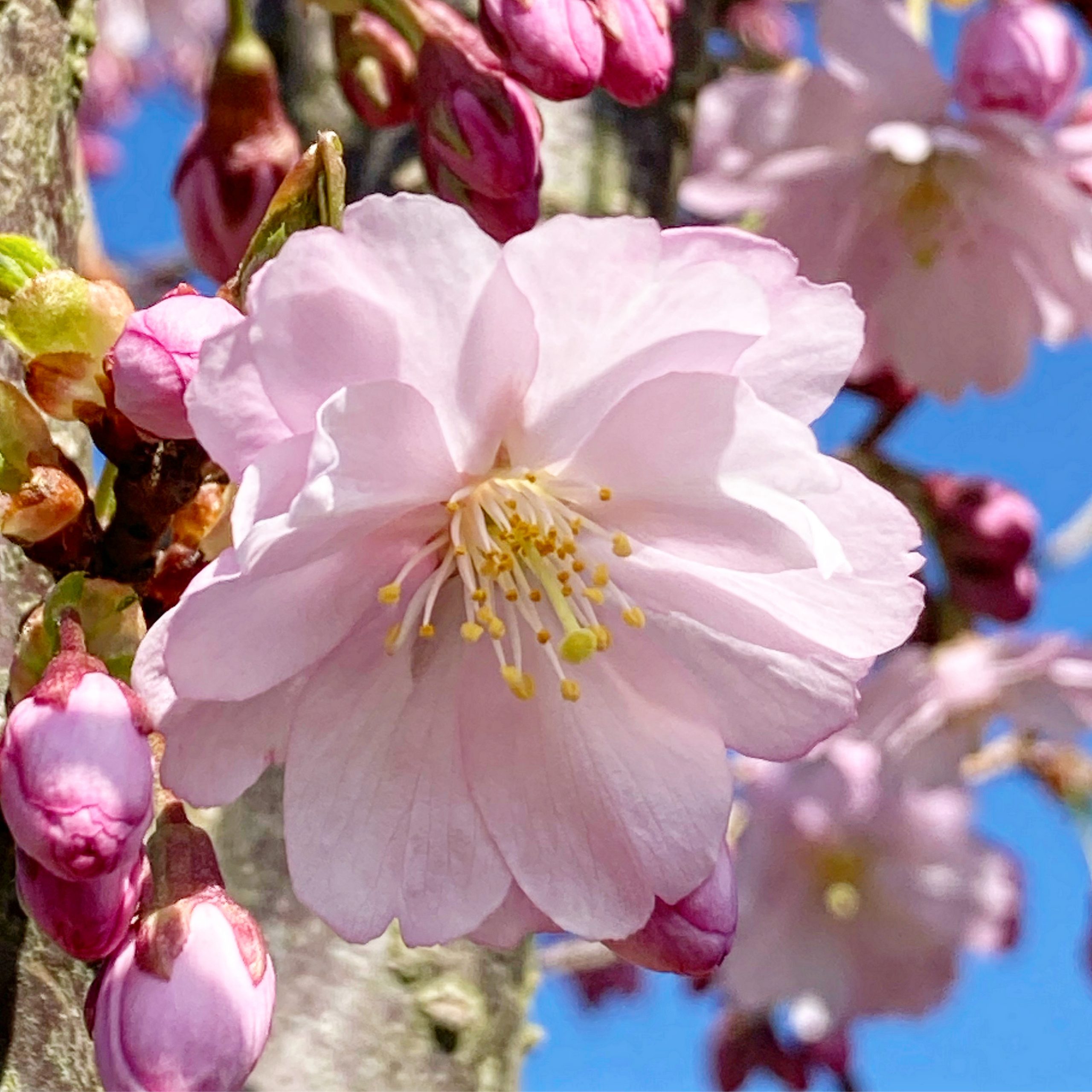 Reisebüro Winterhalter